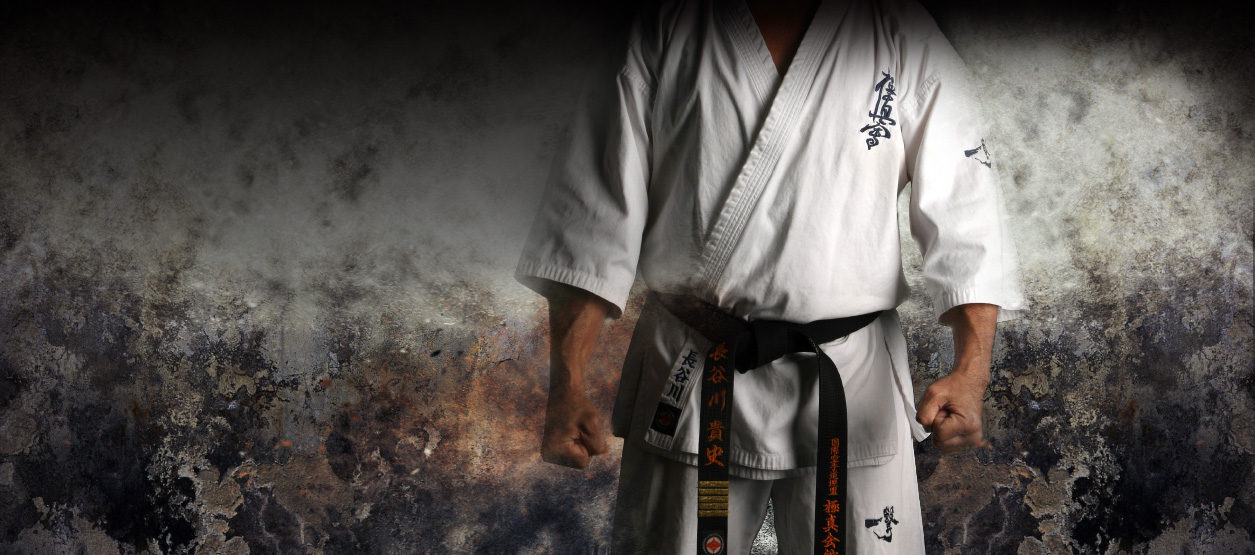 Official Branch of the International Karate Organization - Kyokushin ...